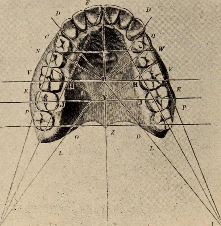 A dentist discovered a hidden code in Leonardo da Vinci’s most famous ...