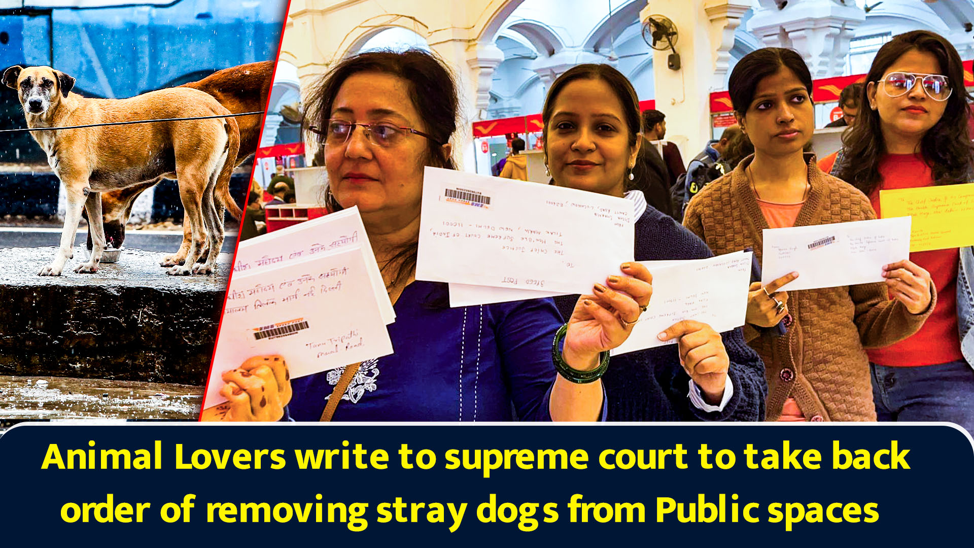 Animal Lovers write to supreme court to take back order of removing ...