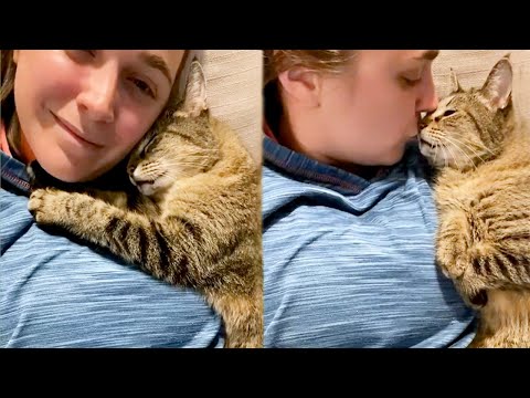 Loyal animals and their humans share strongest loving bond
