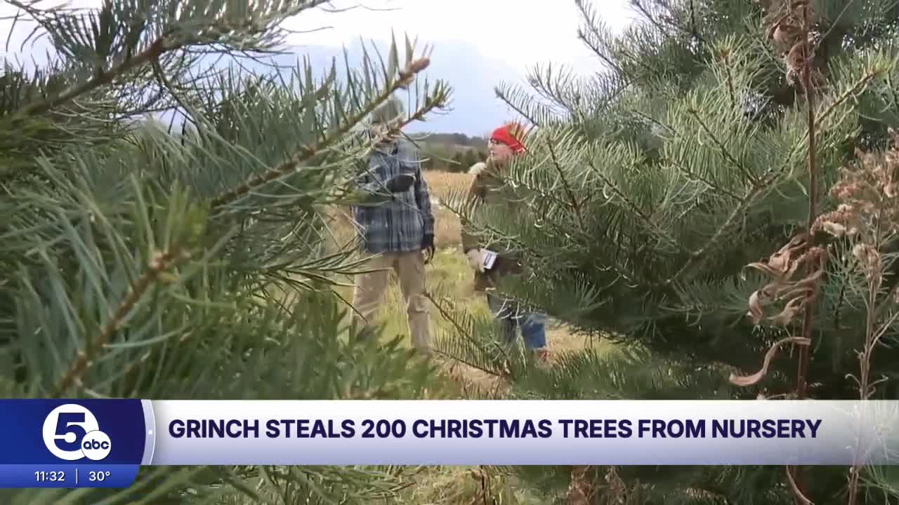 How the Grinch Stole Christmas: Northeast Ohio nursery loses roughly ...