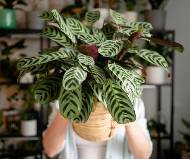 10 Neighbor Stories That Prove Real Life Is Way Messier Than Any Family Drama