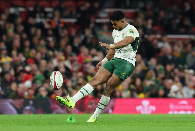 Rugby-Springboks score 11 tries in record 73-0 win over hapless Wales