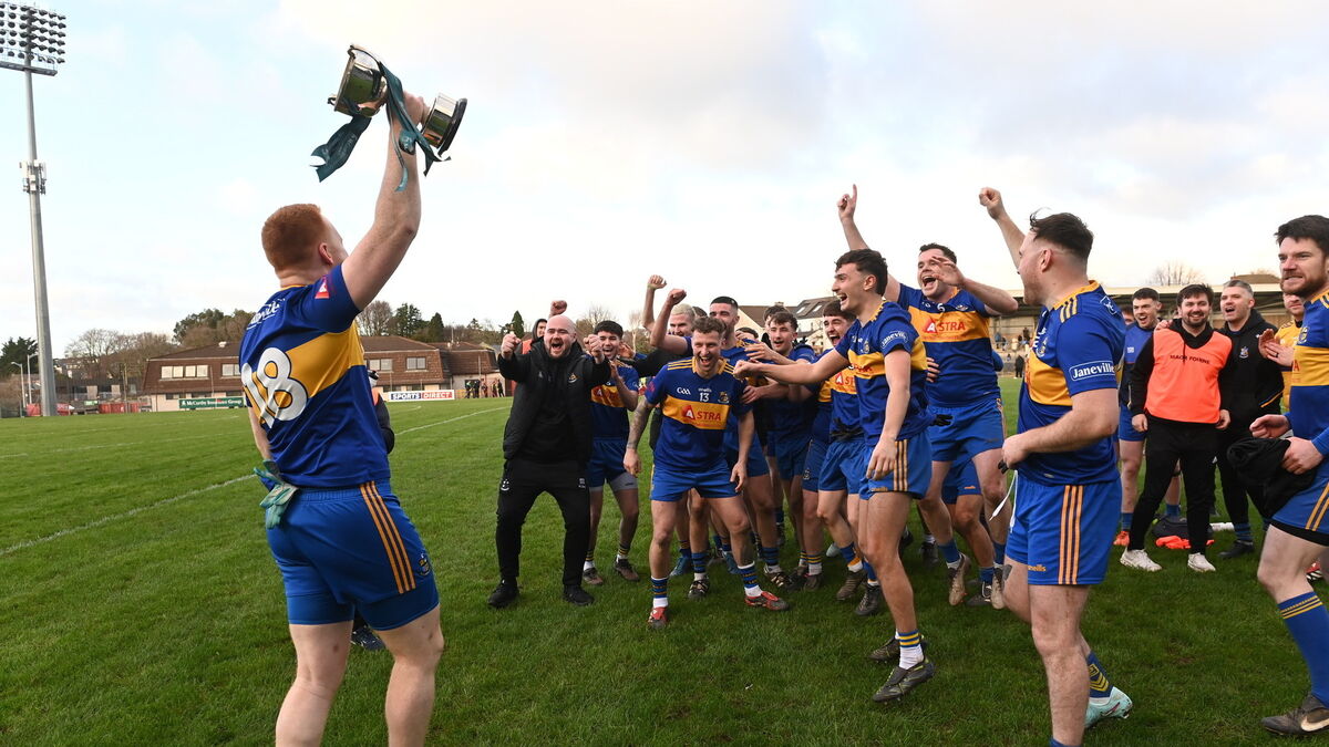 Carrigaline defeat Ballyphehane to claim Cork Junior B title