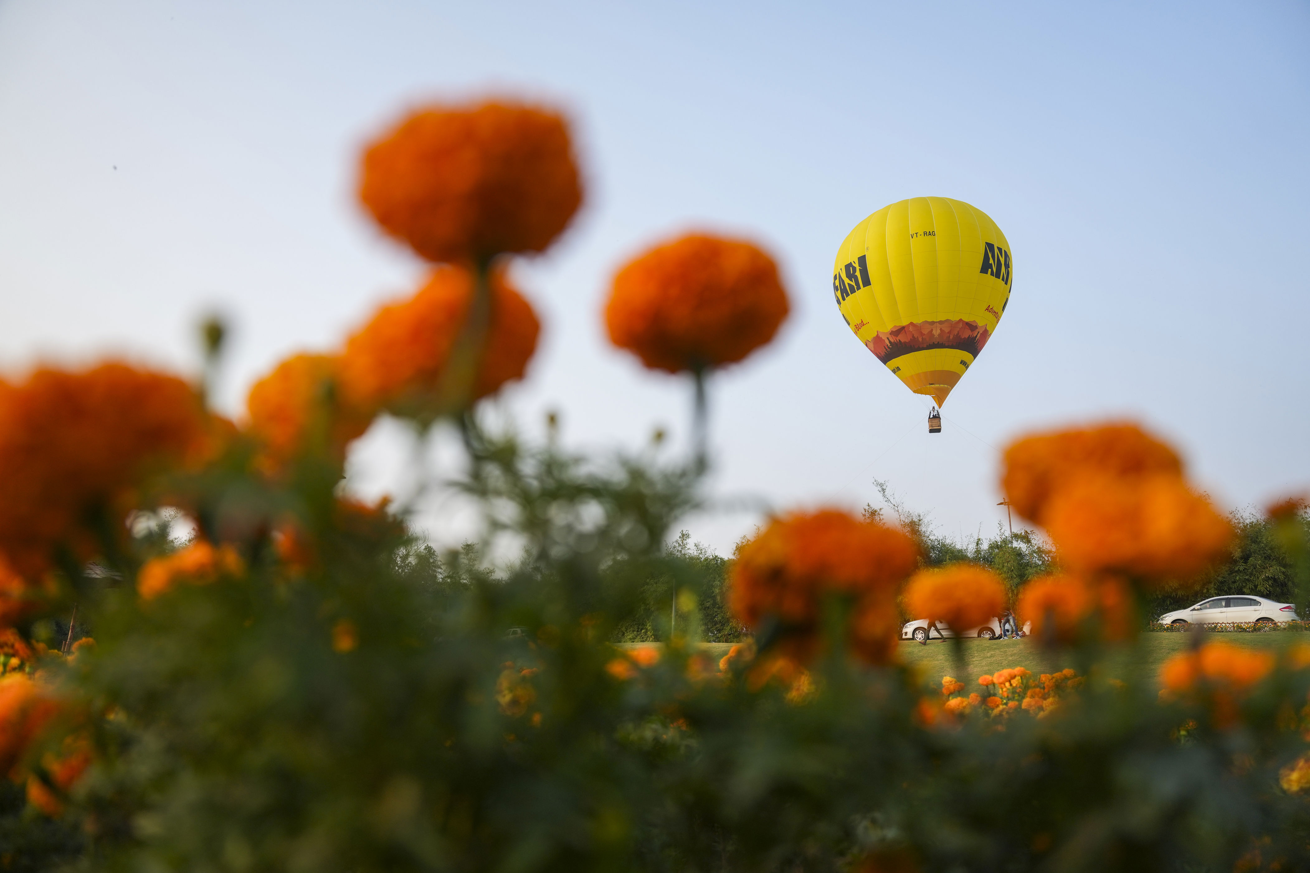 Operators mull online ticketing after cold response to hot air balloon ...