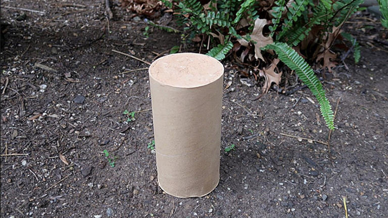 Could Soil And Cardboard Replace Cement? Scientists Are Experimenting