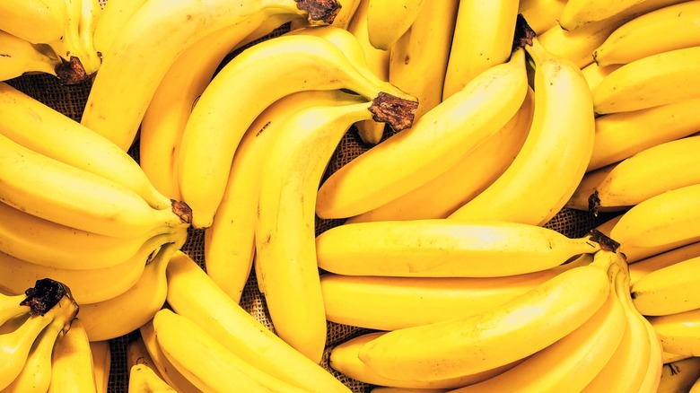 What Are Apple Bananas And What Do They Taste Like?