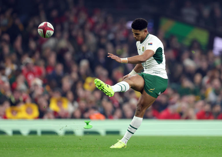 Dominant Springboks run rampant but Etzebeth sent off for eye gouge