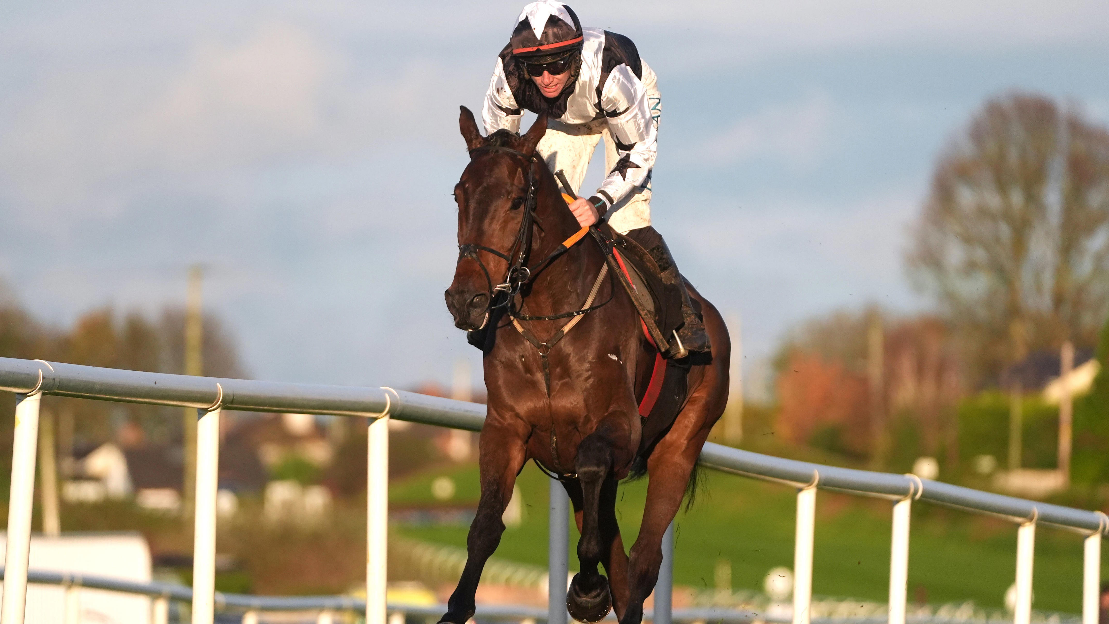 Elliott: Romeo looking good ahead of Drinmore