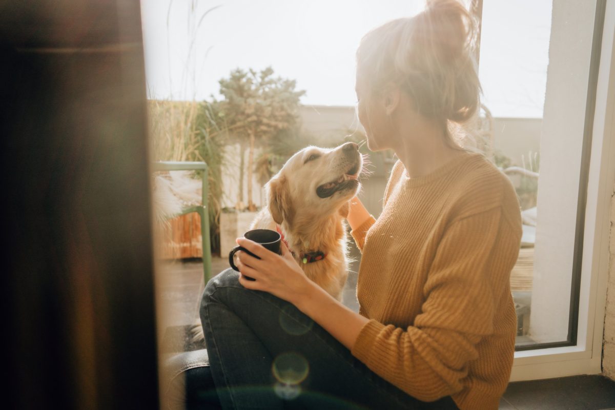 Should I pay my housemates to look after my dog while I’m away?