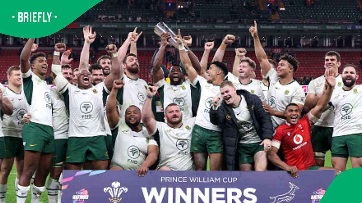 Springboks salaries 2025: Highest-paid players and total earnings revealed