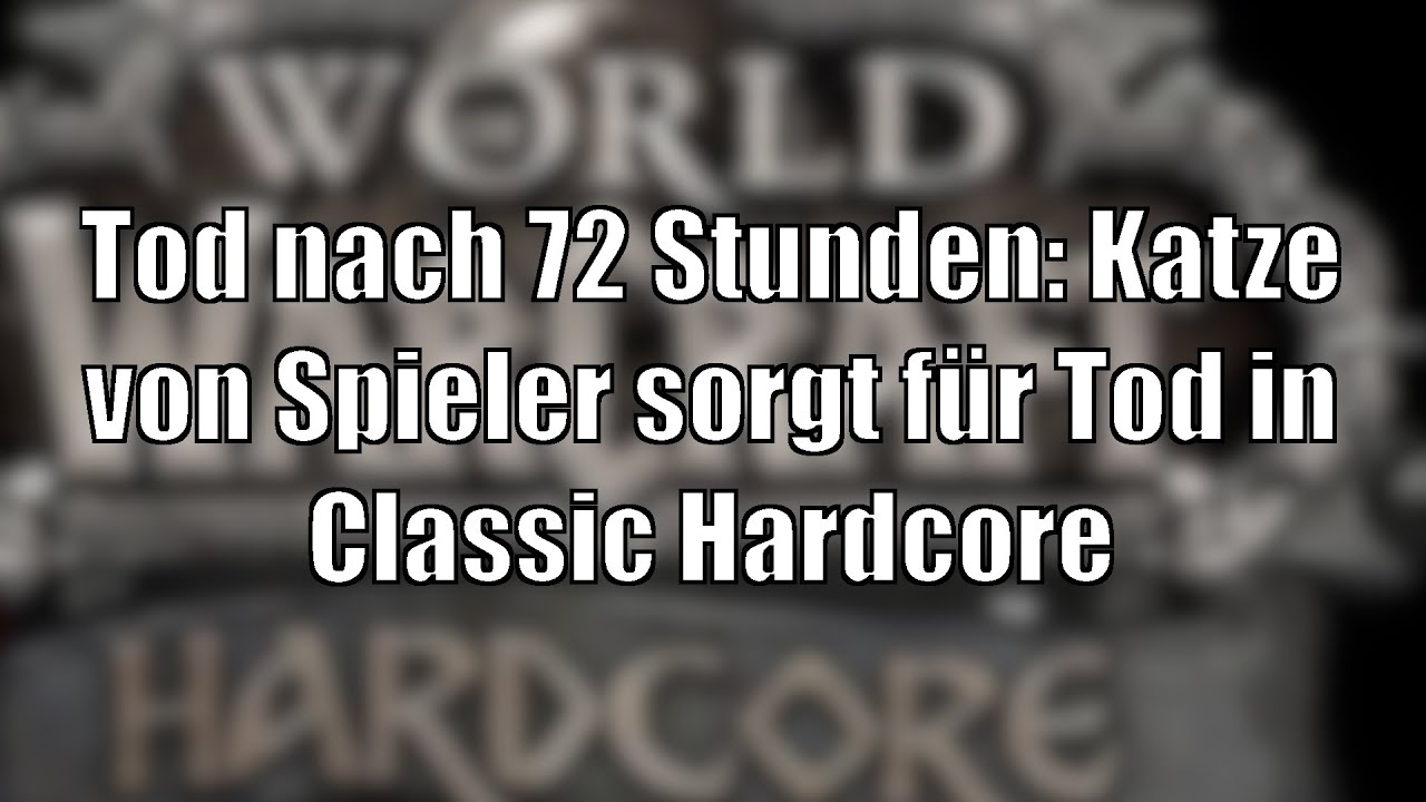 Die Katze wars! Classic Hardcore-Spieler verliert seinen Char nach 72 ...