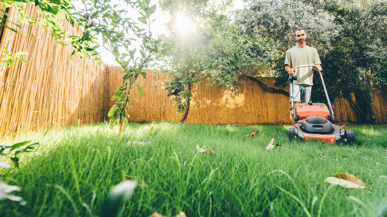 Why You Should Reconsider Trying This Popular DIY Lawn Fertilizer