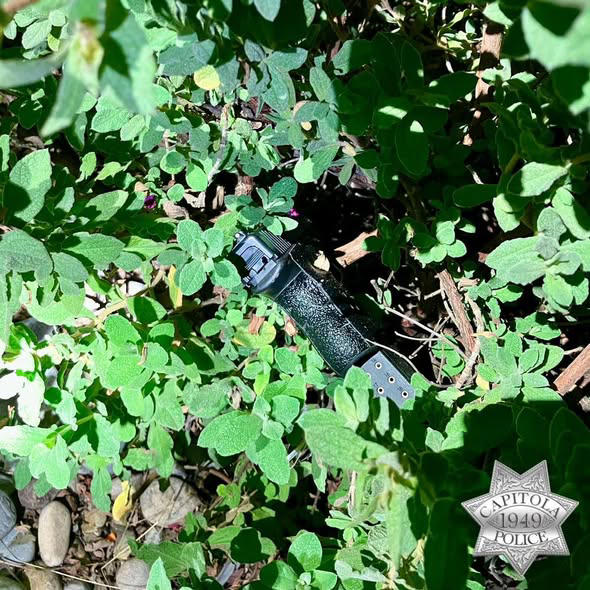 Suspected gang member threw gun into bushes after fleeing Capitola ...