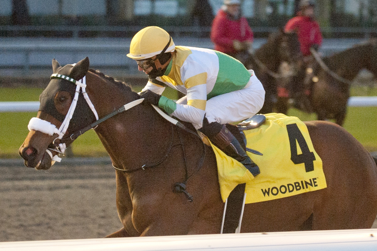 Piper's Gift Streaks Clear In Princess Elizabeth