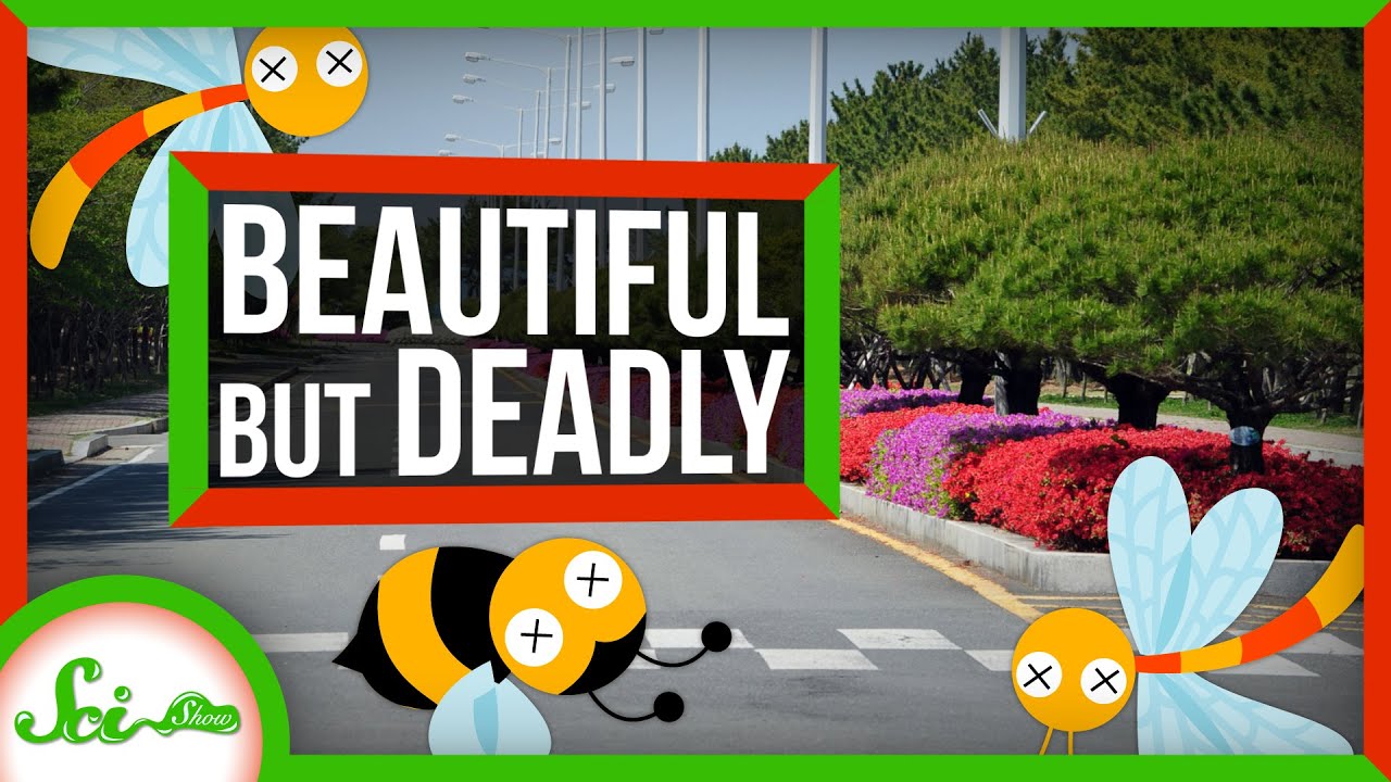 Those pretty road medians may be bad for bugs