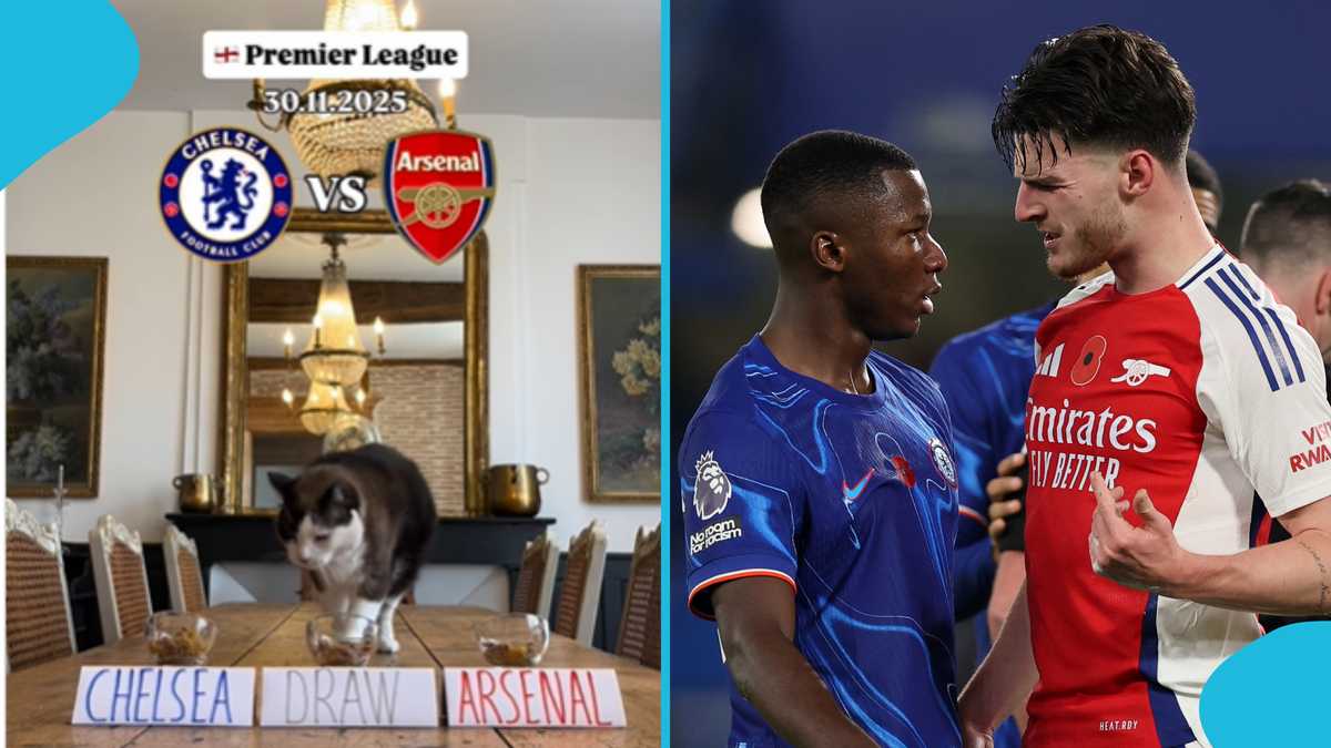 Chelsea vs Arsenal: Oracle Cat Predicts Premier League Winner