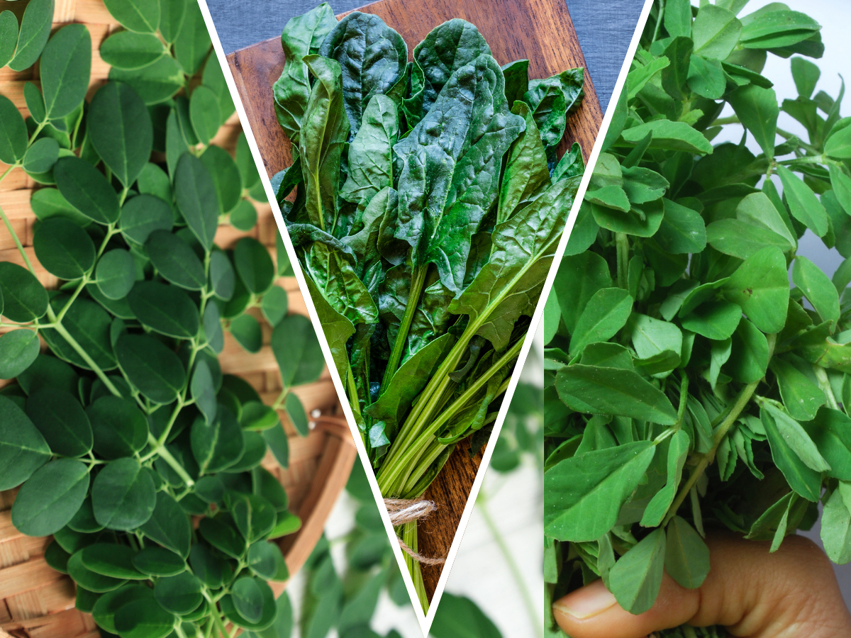 You might be eating palak, methi and other leafy greens wrong: Delhi ...