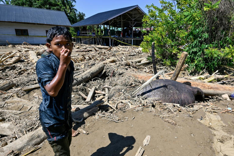 Indonesia, Thailand race to find missing as flooding toll tops 600