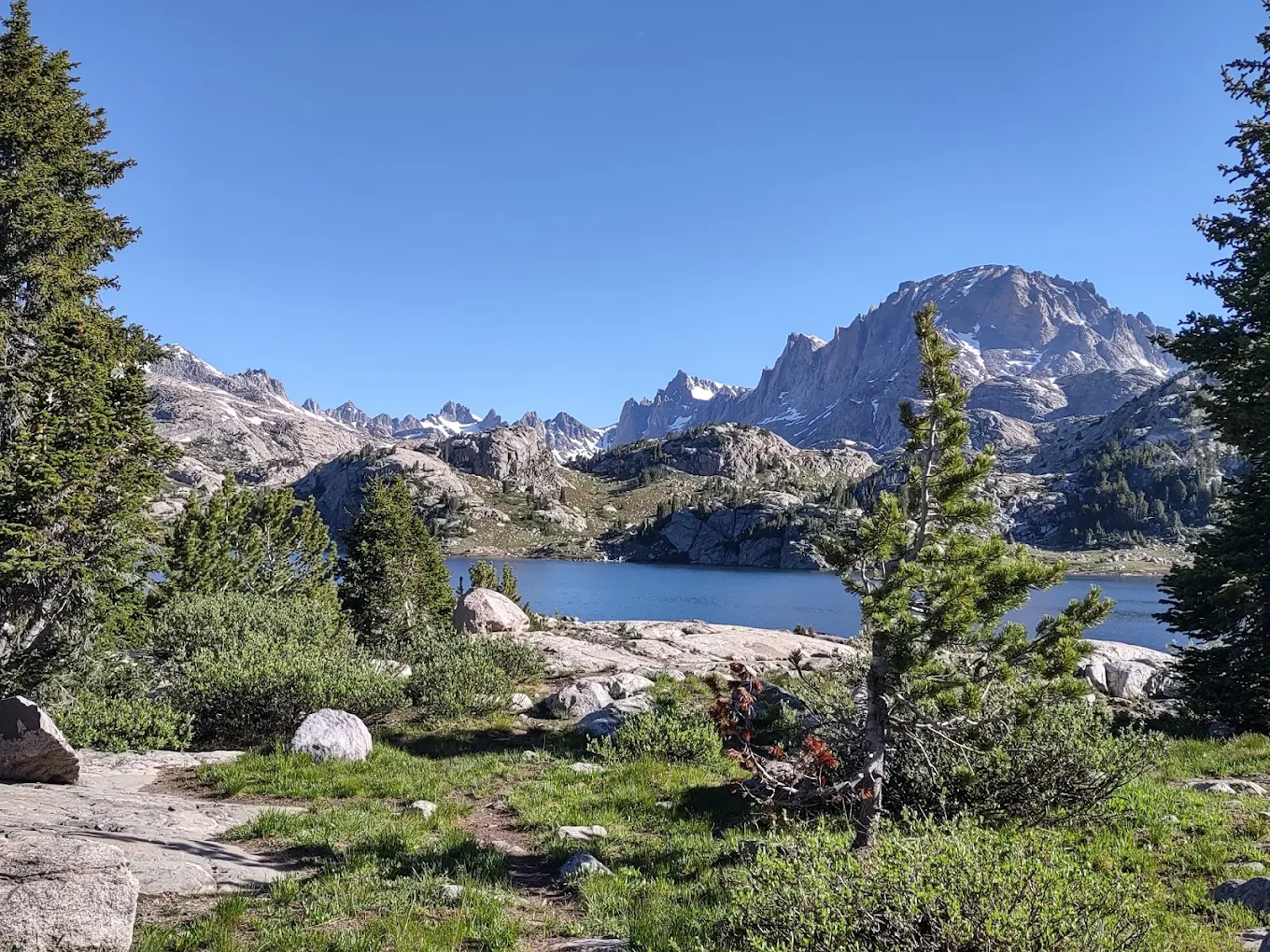 9 Elk Hunting Hotspots You Can Camp Beside in Wyoming