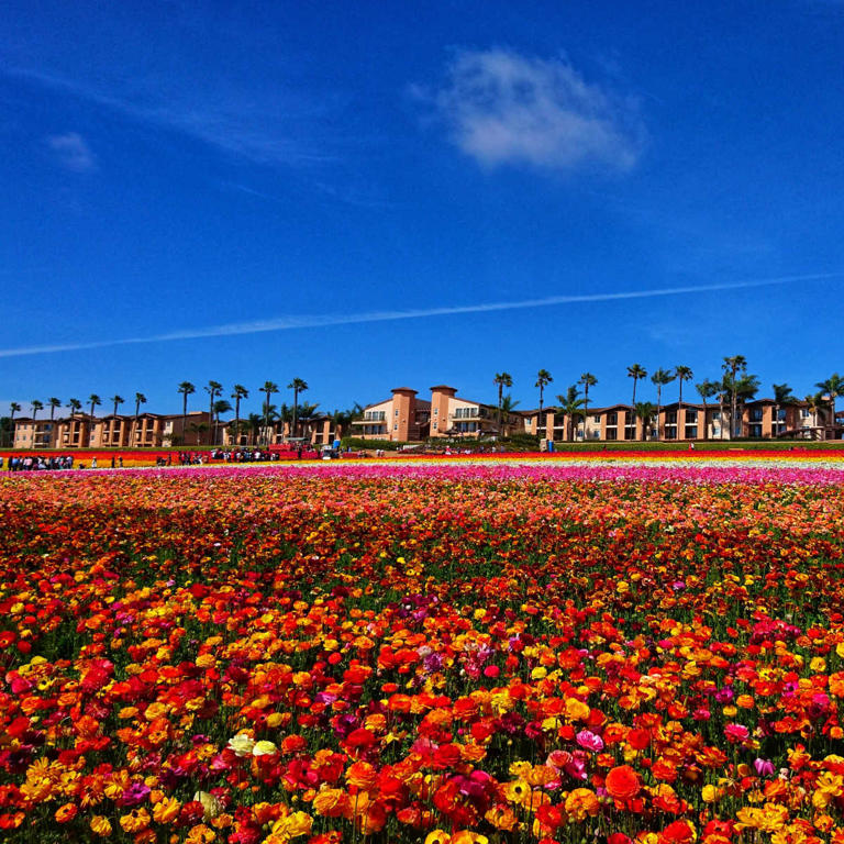 Travel Off Path's ‘West Coast Uncovered' List: Top Destinations For 2026