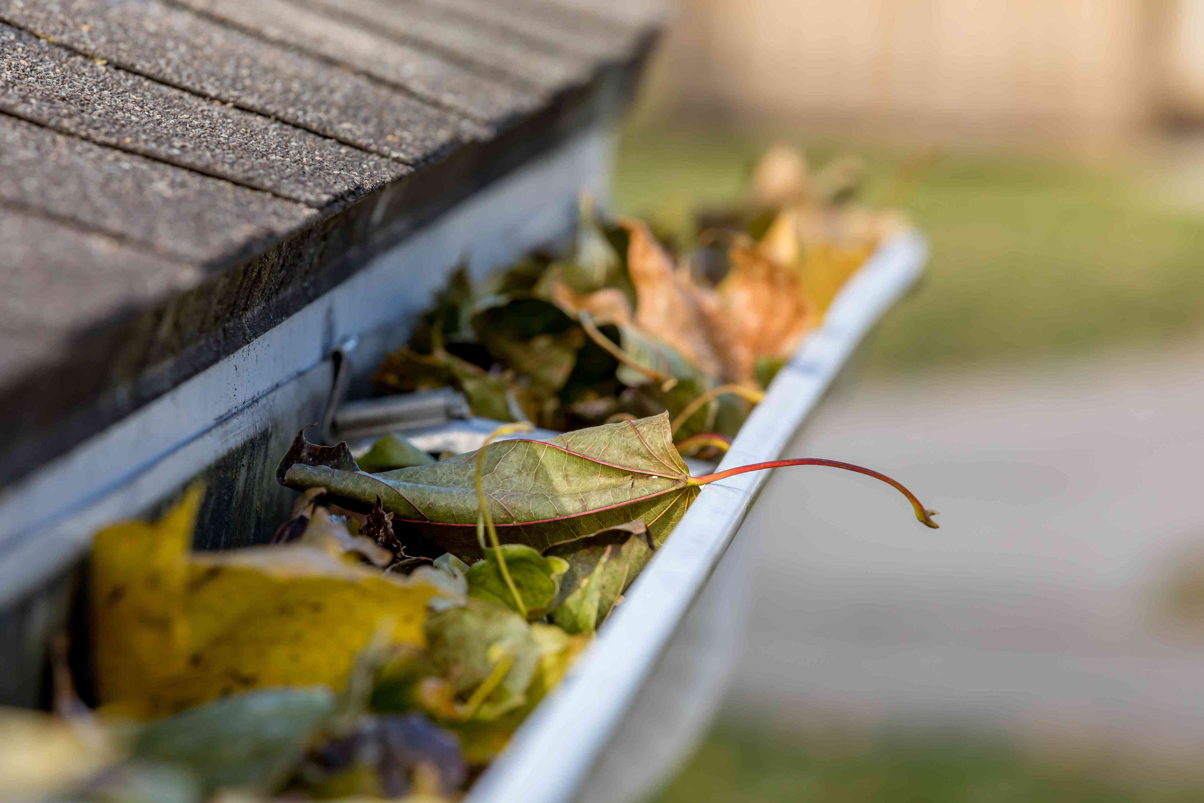Why You Should Always Clean Your Gutters Before Winter—and How to Do It