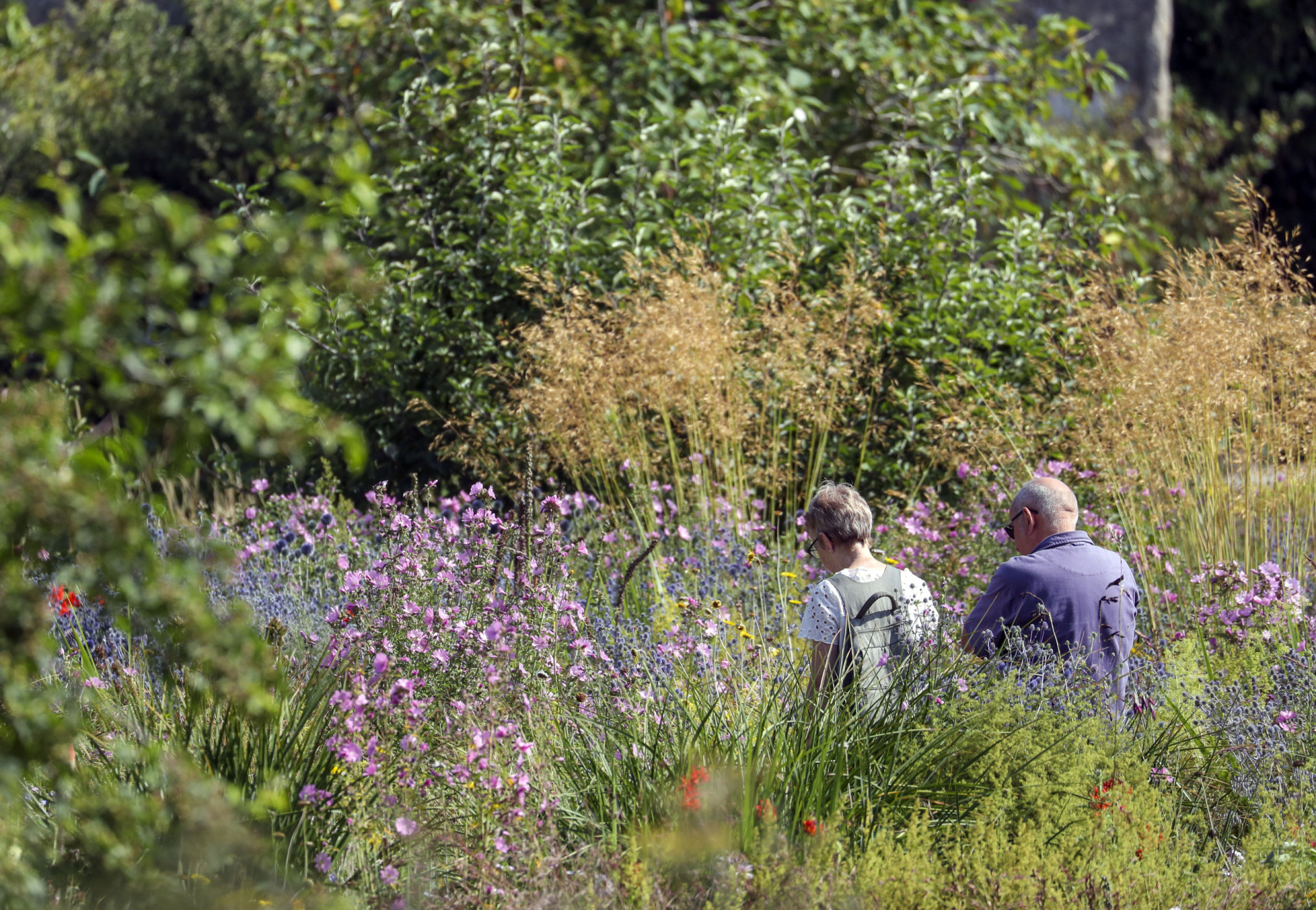 The world's oldest botanical gardens you can visit