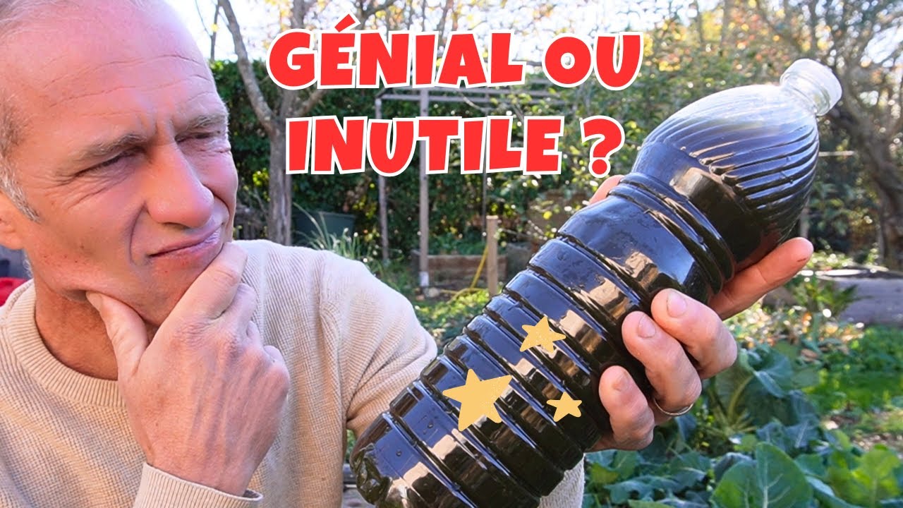 Purin de consoude fabrication, composition, utilisation… vraiment ...