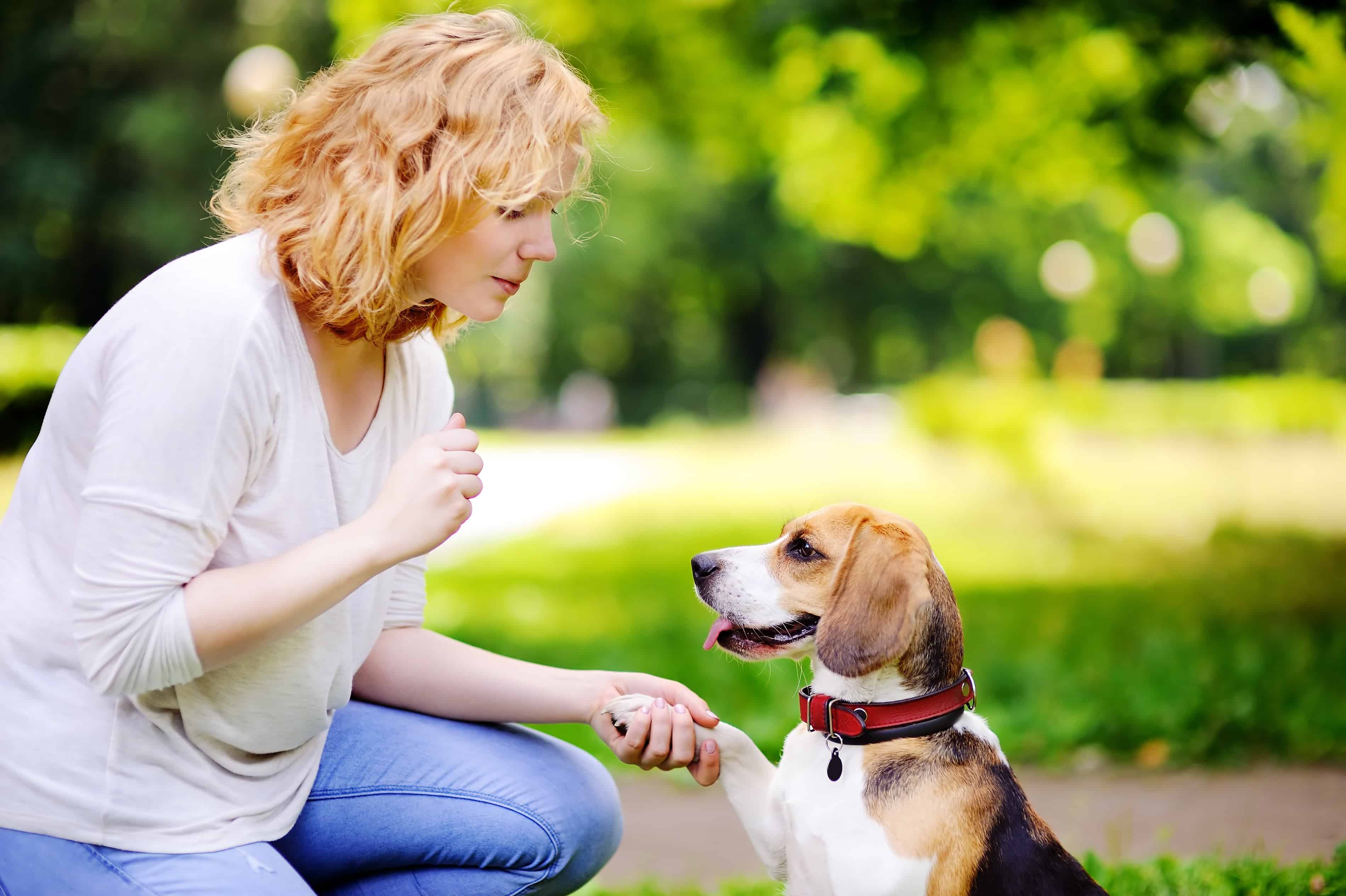 Why adopting a shelter dog might be the best decision you ever make