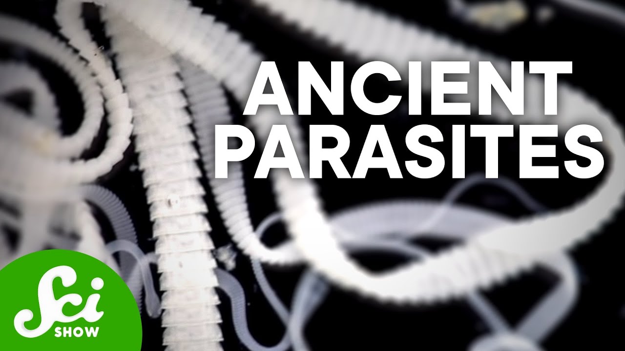 The oldest parasites ever found on Earth