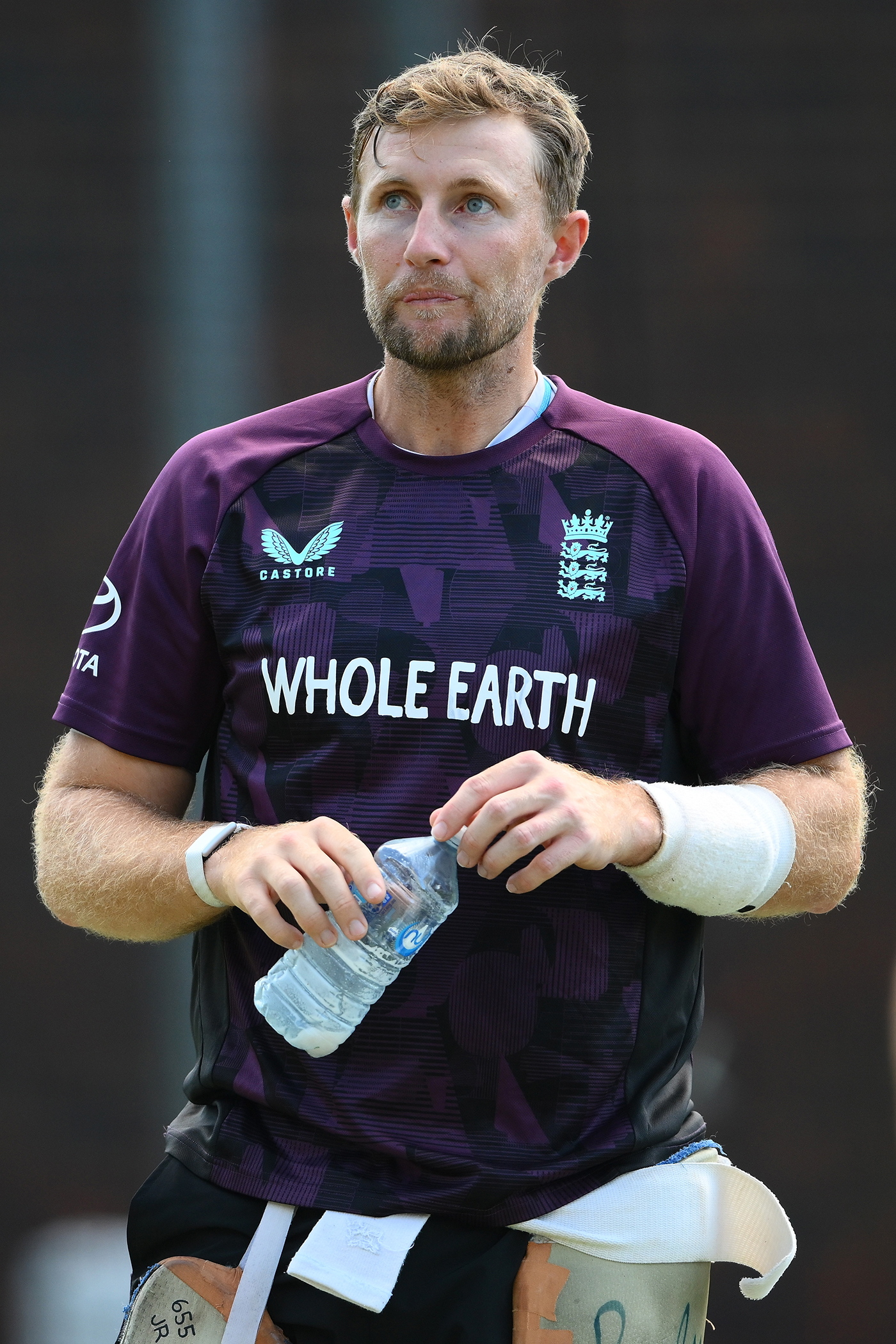 Root unperturbed by 'challenge' of facing pink-ball master Starc