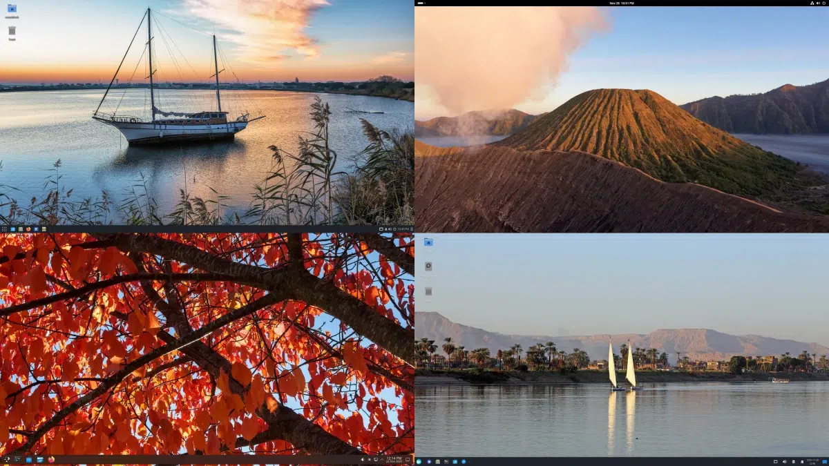 Solus 4.8 Opportunity da un salto clave en su evolución