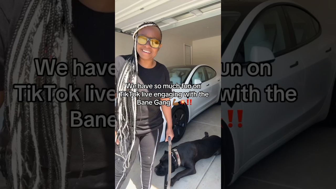 How this mom decides the best way to train her dog