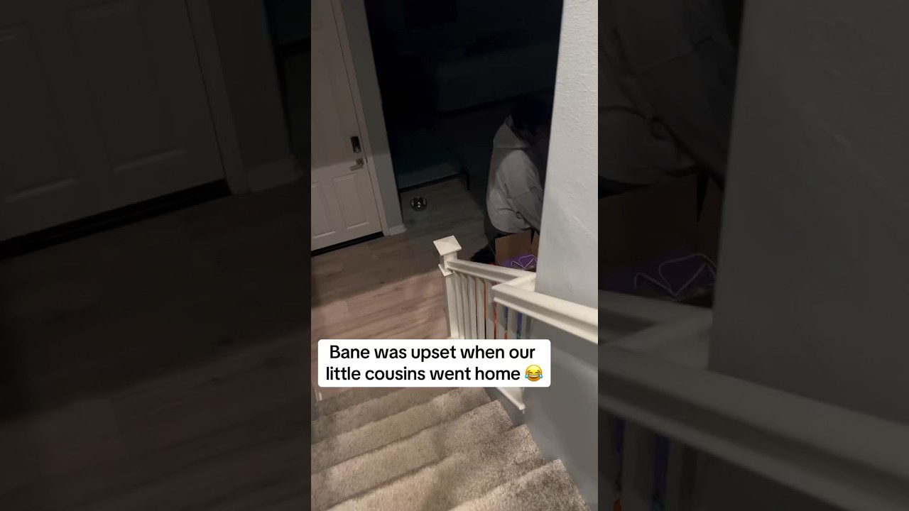 Dog struggles to keep his pack in one place at a time