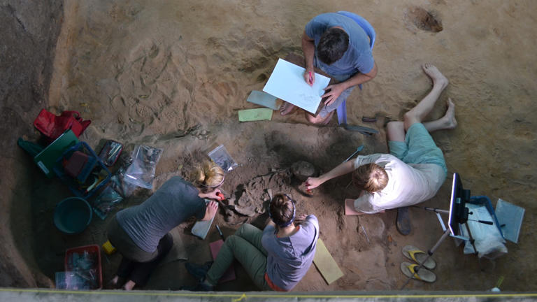 A mystery foot suggests a second early human lived with Lucy