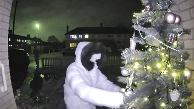 Moment real-life Grinch is caught on CCTV stealing Christmas tree