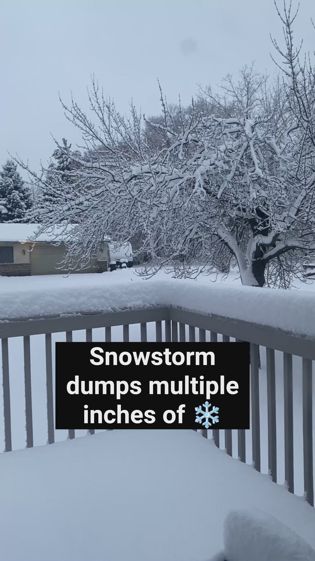 Snowstorm dumps several inches of snow in West Michigan