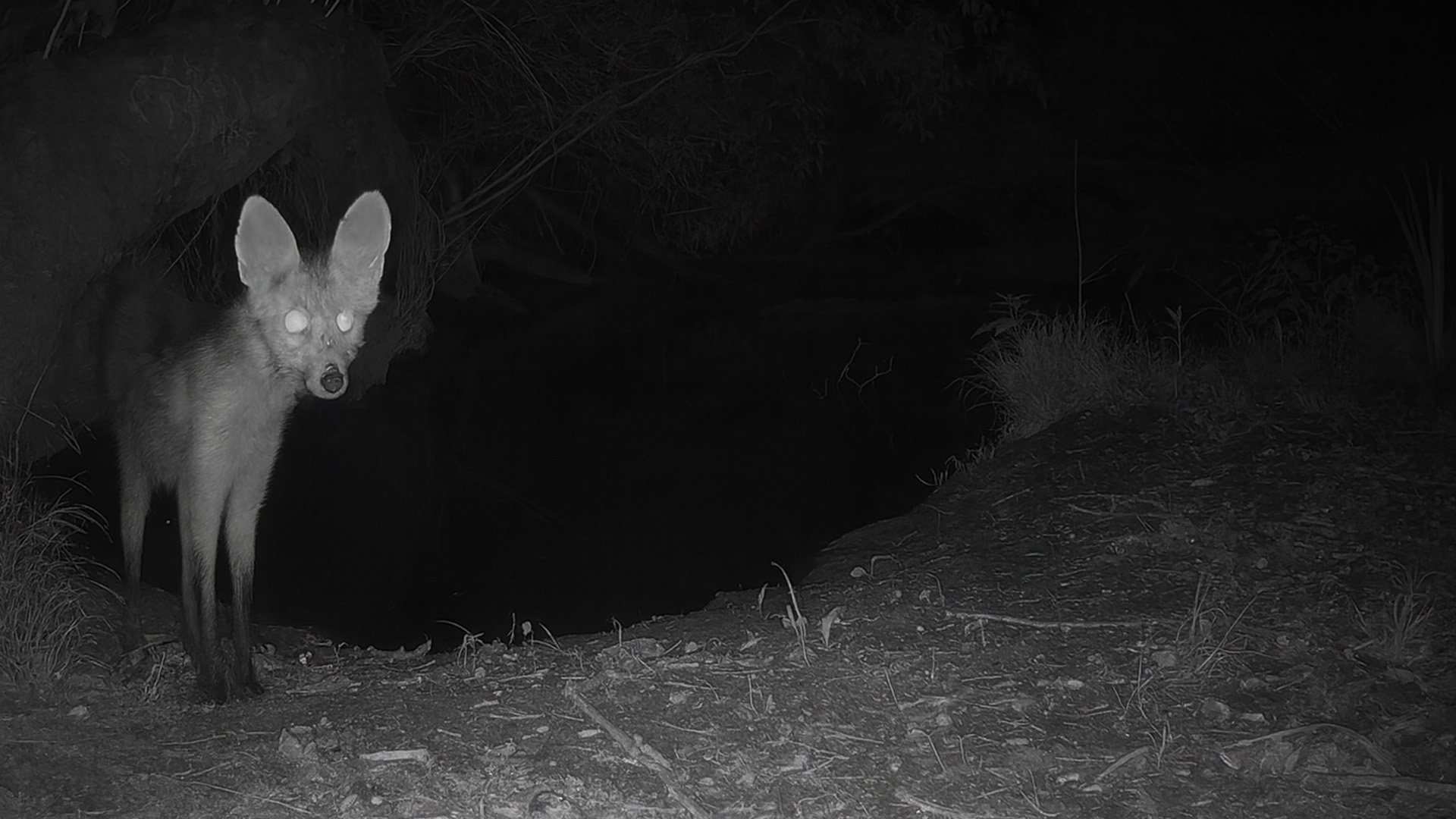 Camera Quietly Follows the River and Captures This
