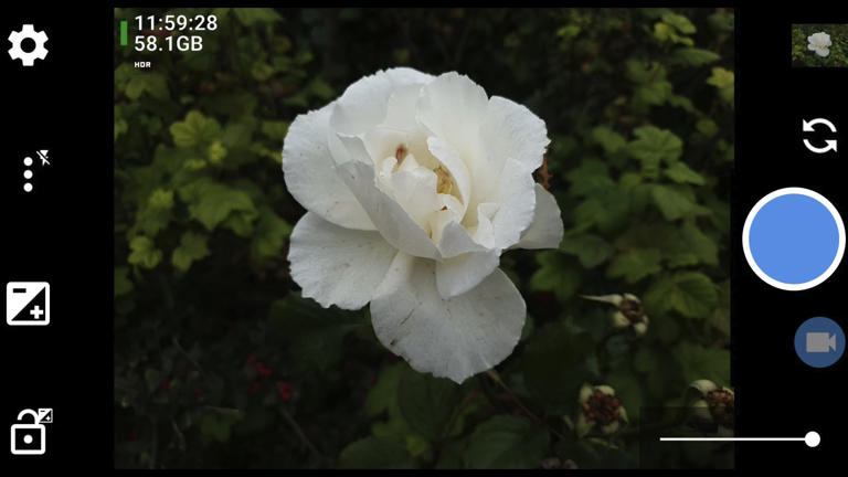 5 of the best photography and editing apps, from Lightroom to Halide