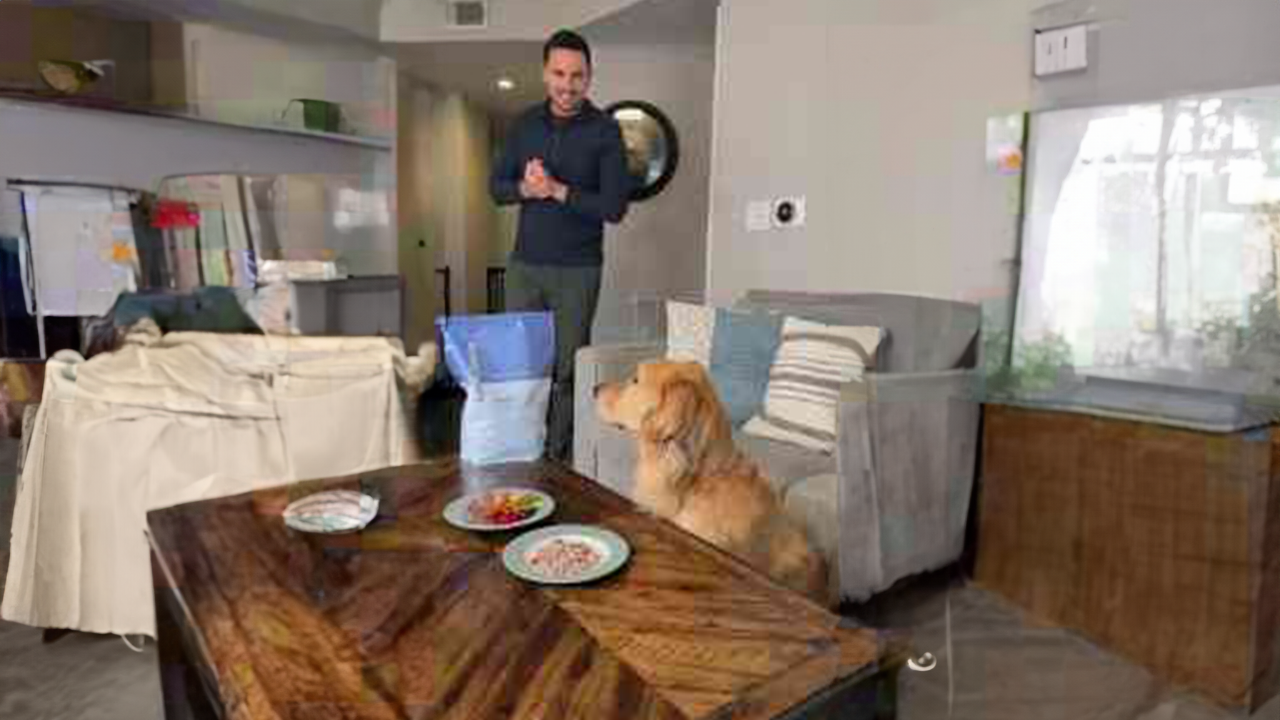 Dog Food vs. Steak: The Ultimate Taste Test