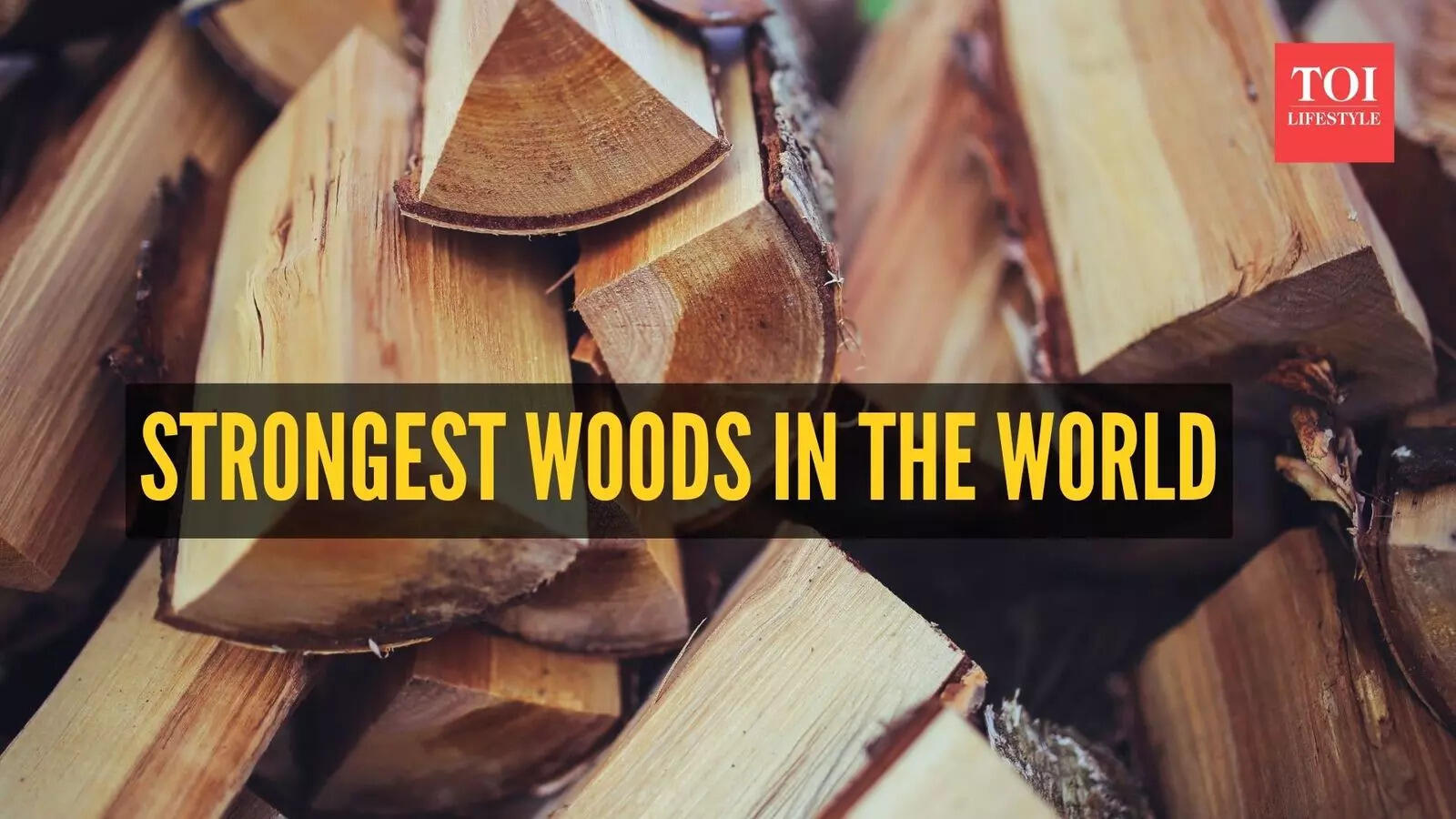 10 strongest woods in the world that last for decades