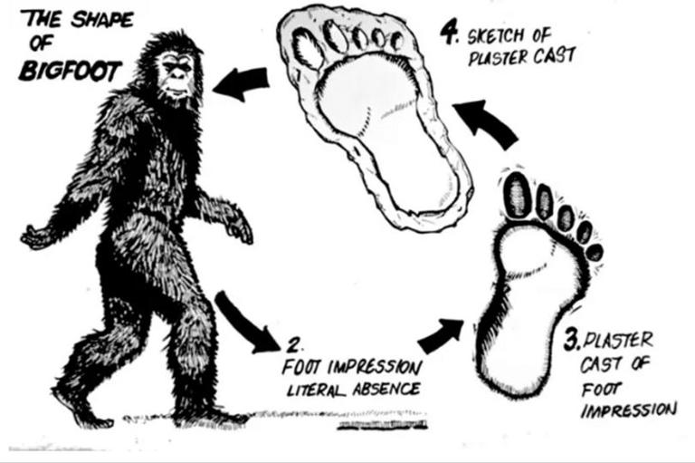 Bigfoot hunters closing in on solving mystery and insist mythical beast ...