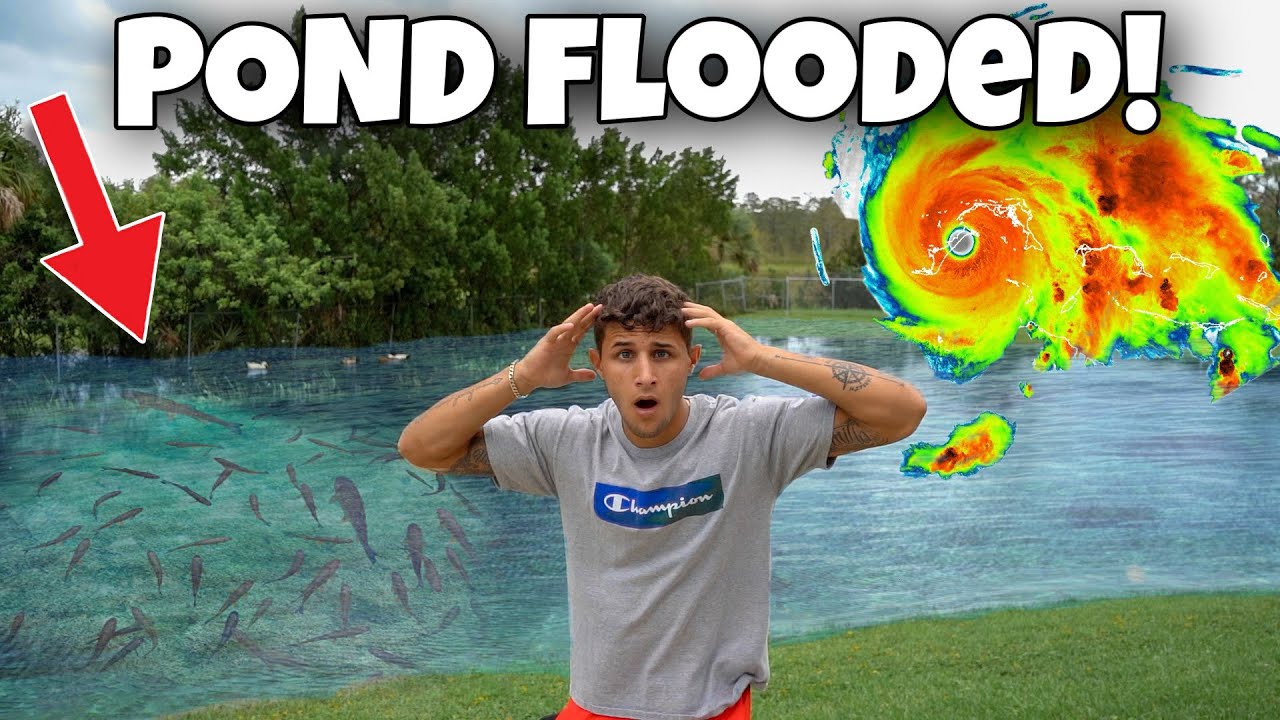 I woke up to a flood in my backyard!🌊