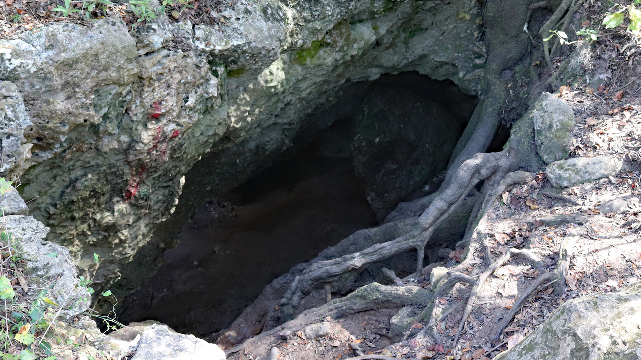The Florida cave hike with unexpected views and a touch of adventure