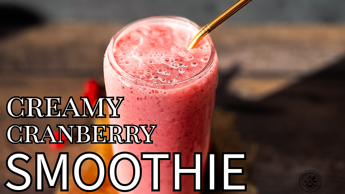 Easy Cranberry Smoothie