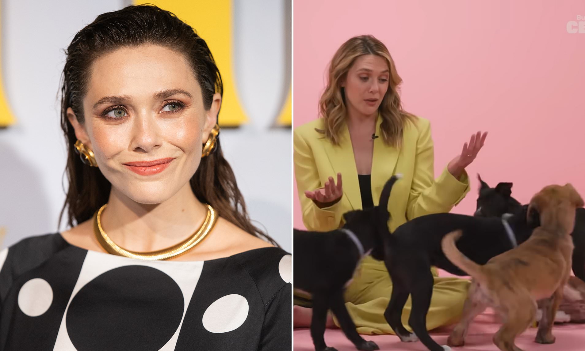 Mary Kate and Ashley Olsen's younger sister Elizabeth reveals 'secrets ...