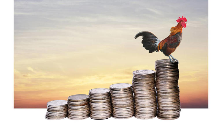 US private equity firm buys charcoal chicken chain El Jannah for $800m