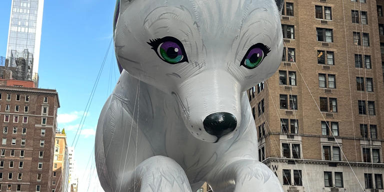 What It’s Really Like to Be a Balloon Handler in the Macy’s ...
