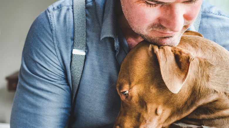5 Of The Best Apps Every Pet Owner Should Have Installed