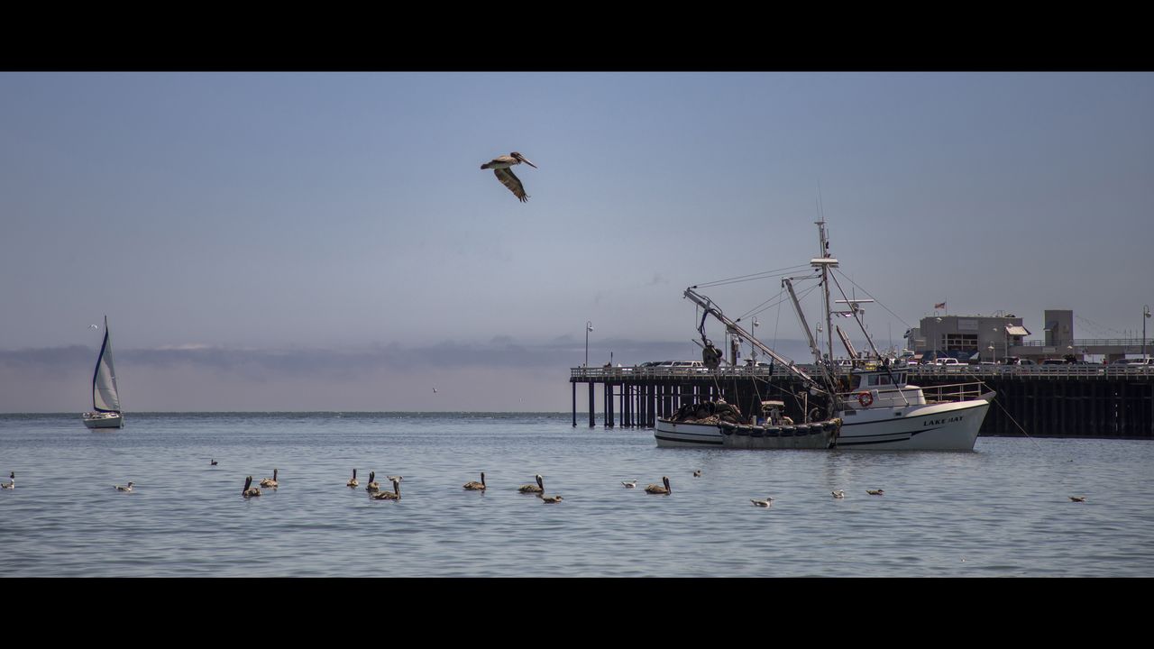 This super-quick editing hack transforms my travel photos into magical ...