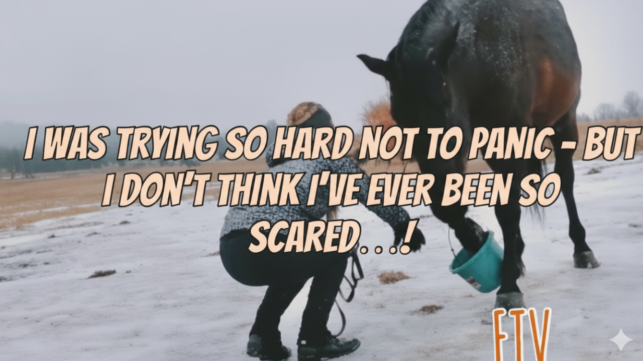 My Gelding Might One Day Give Me a Heart Attack